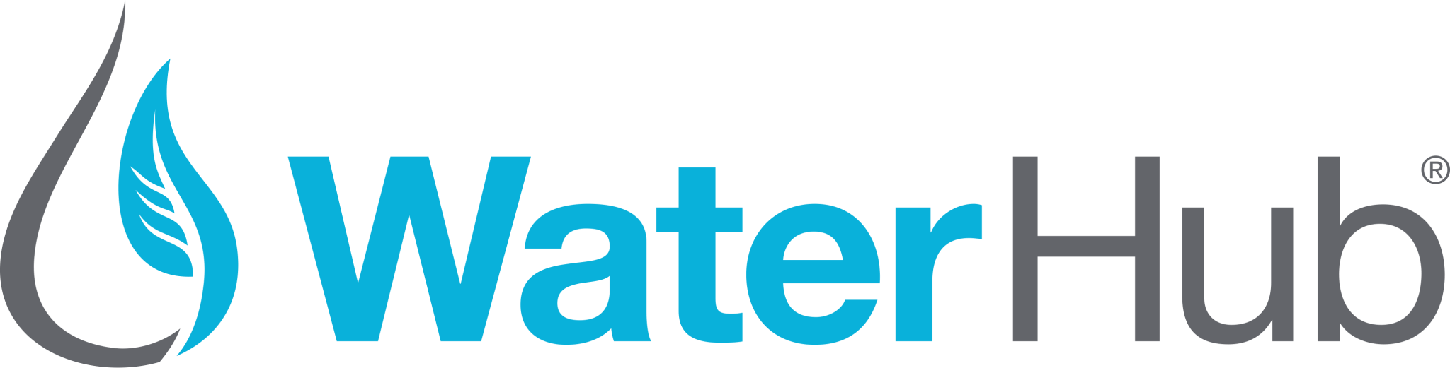 Our Company - Missions Values Businesses - H2O Innovation